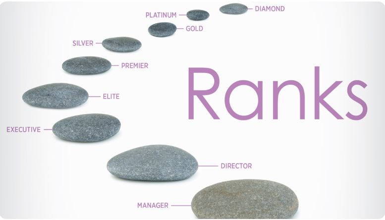 What Is doTERRA MLM? An Honest Review!